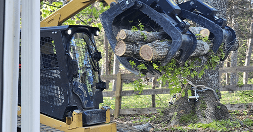 Tree Service "Knoxville TN" | Tree Removal "Knoxville TN"